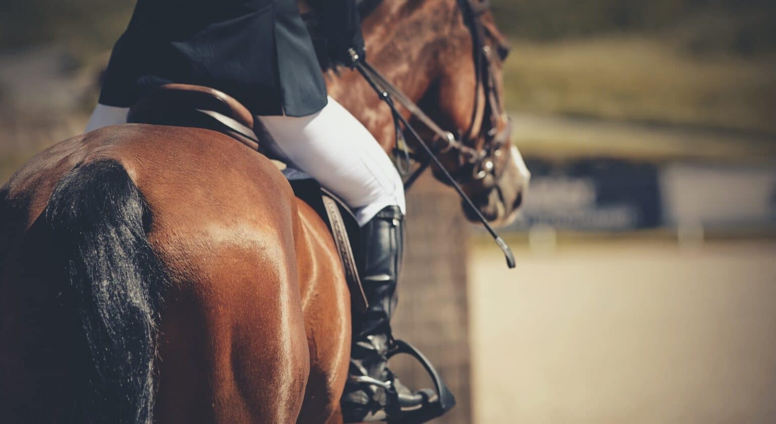 The Best Tryon Equestrian Center Lodging | Updated in 2026